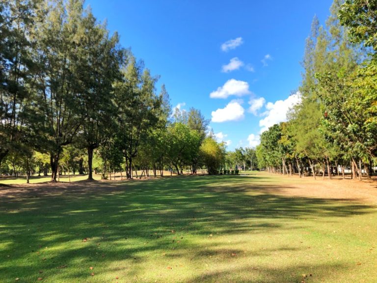 マクタンアイランドゴルフクラブ（Mactan Island Golf Club）【徹底解説】 | イマセブ